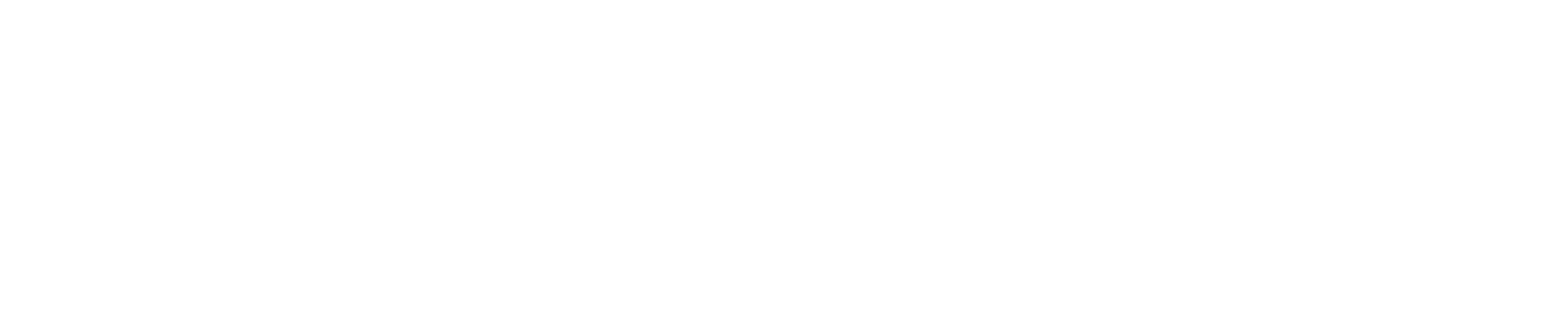 PPSR Report - $2 dollar PPSR check - Government PPSR check