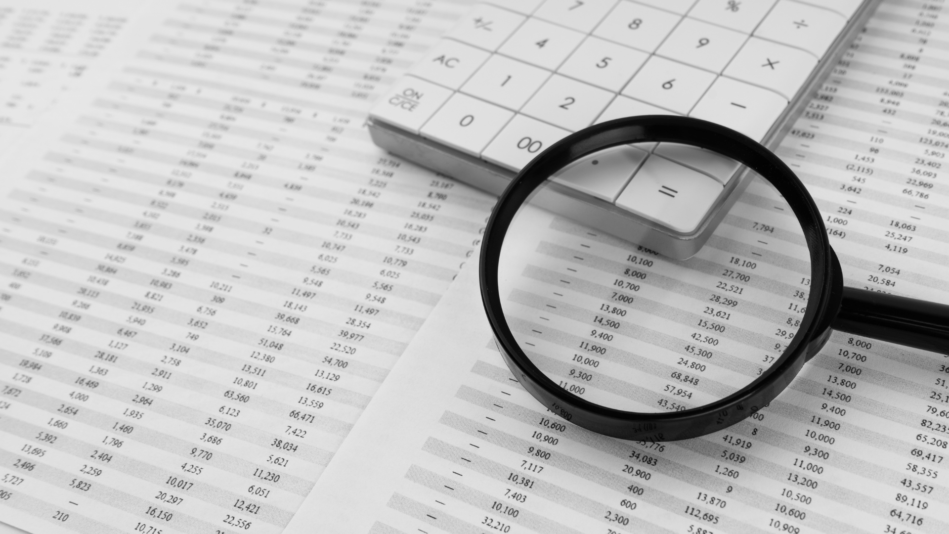 PPSR Report - $2 dollar PPSR check - Government PPSR check